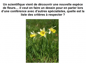 Le dessin d’observation – Le boulot pédago de Ségo